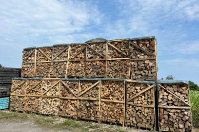 Veilingen | Openbare Verkopen